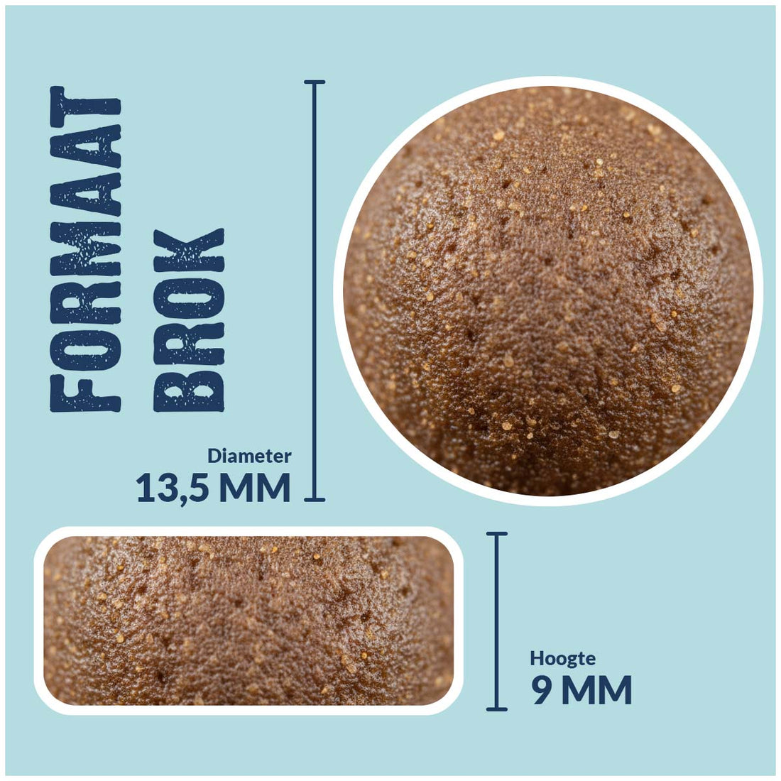 Adult Krokant – BF Petfood